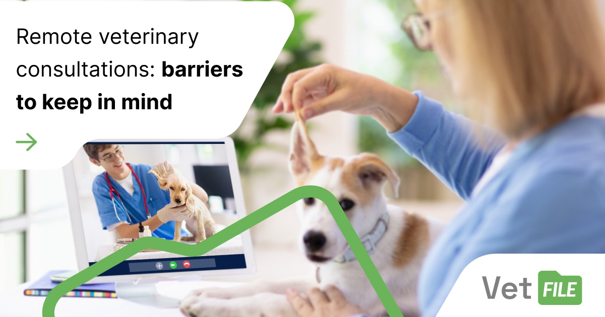 Remote Veterinary Consultations: Barriers to Keep in Mind