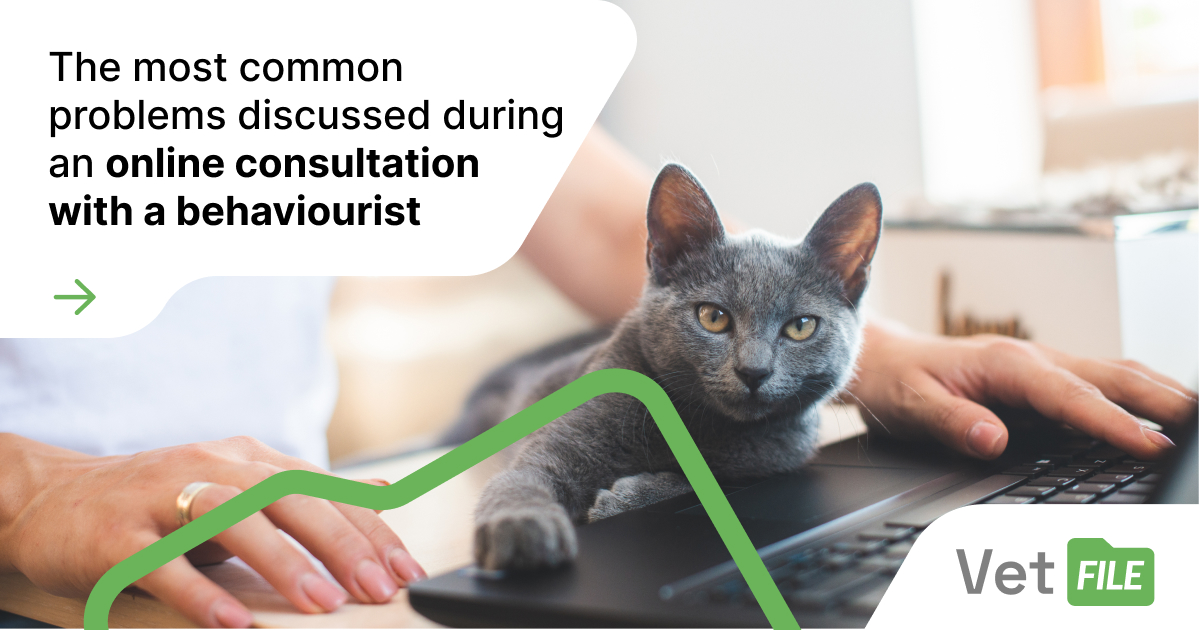 The most common problems discussed during an online consultation with a ...