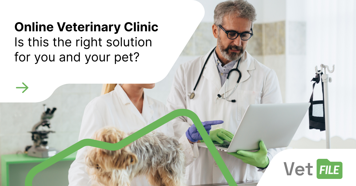 Online veterinary clinic. Is it the right solution for you and your pet?
