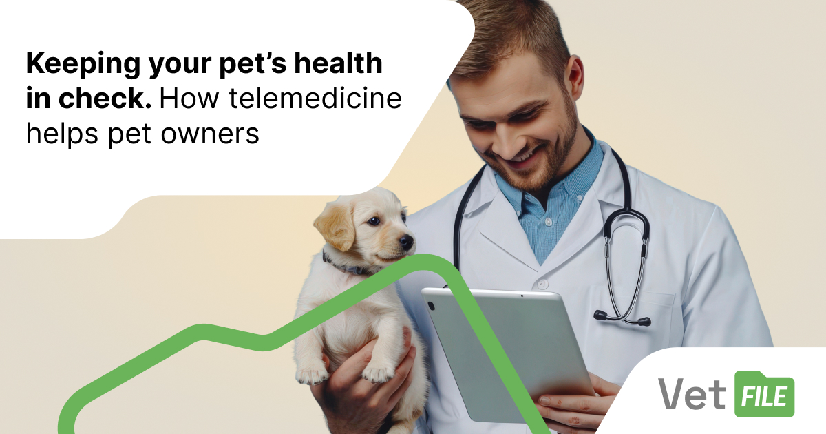 Keeping your pet's health in check. How telemedicine helps pet owners