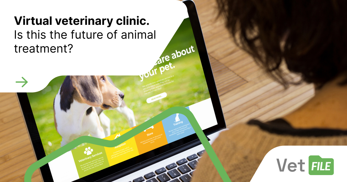 Virtual veterinary clinic. Is this the future of animal treatment?