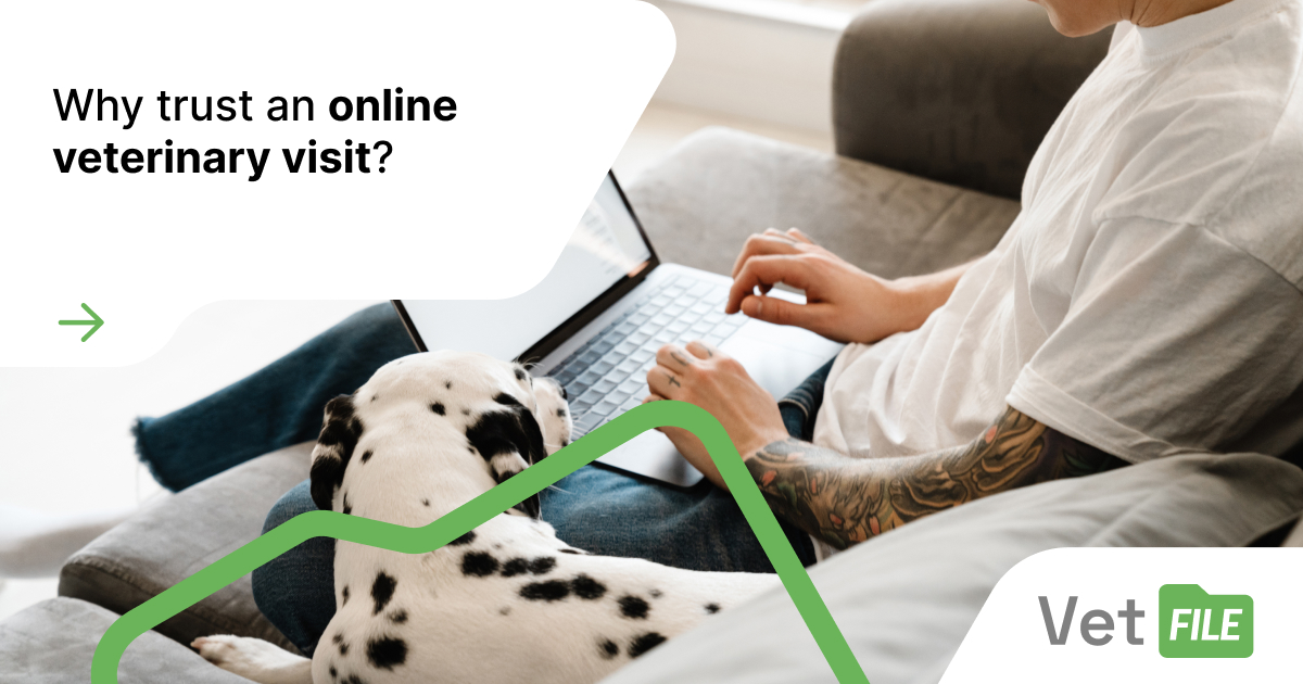 Why trust an online veterinary visit?
