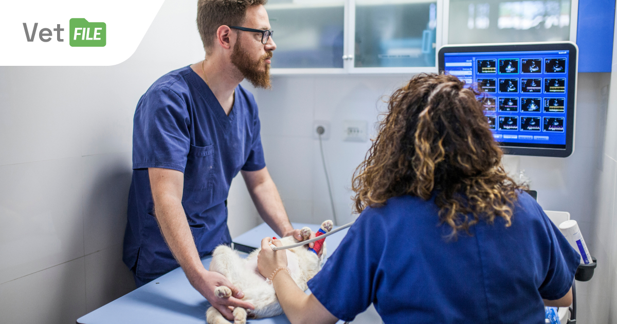 VetFile integration with diagnostic devices. How to simplify your daily ...