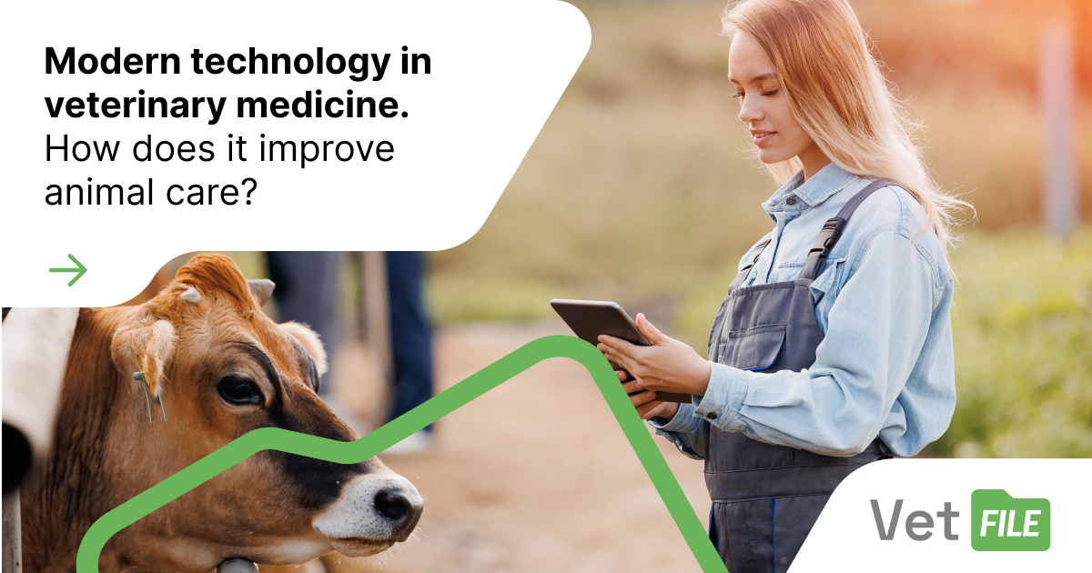 Modern technology in veterinary medicine. How does it improve animal care?