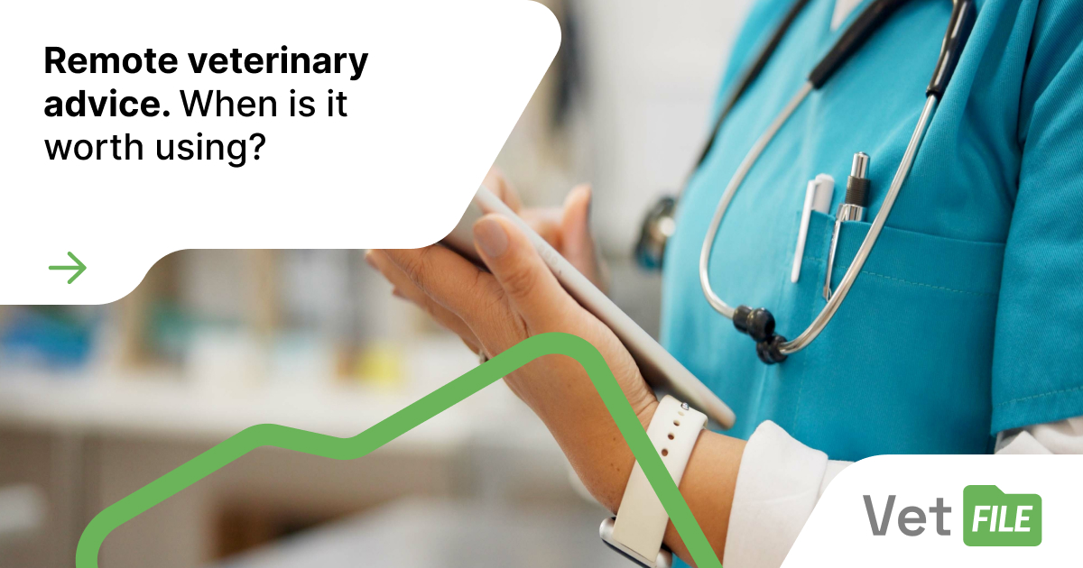 Remote veterinary advice. When is it worth using?