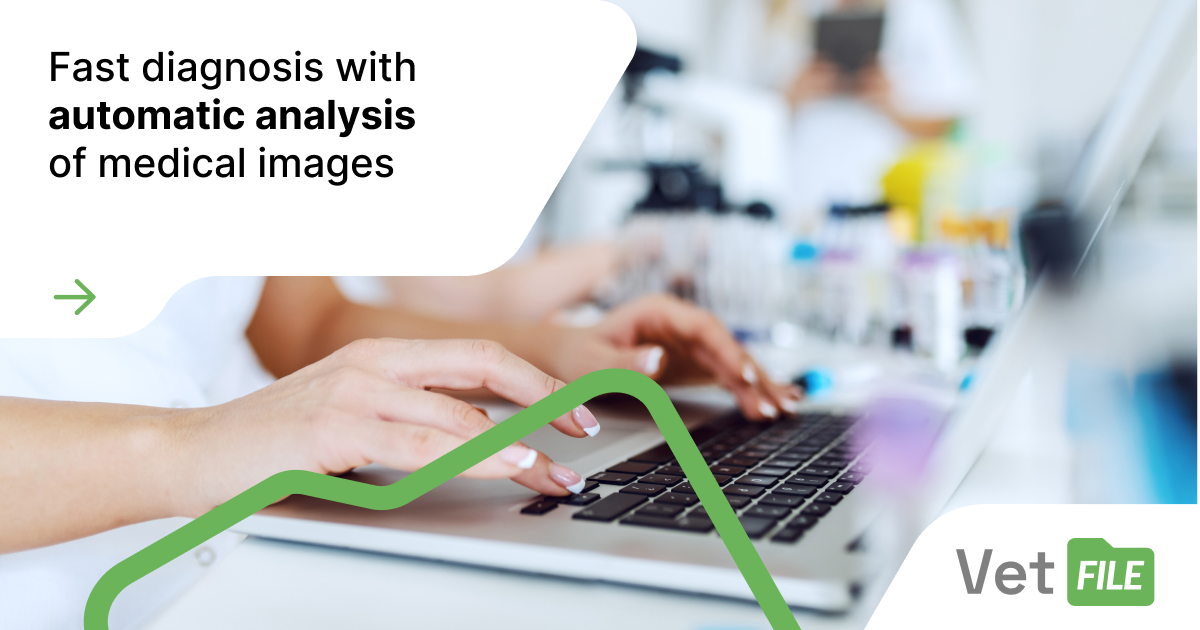 Fast diagnosis with automatic analysis of medical images