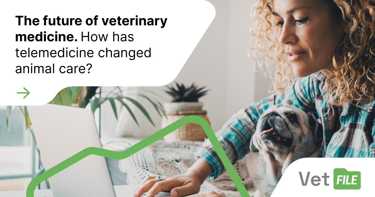 The future of veterinary medicine. How has telemedicine changed animal ...